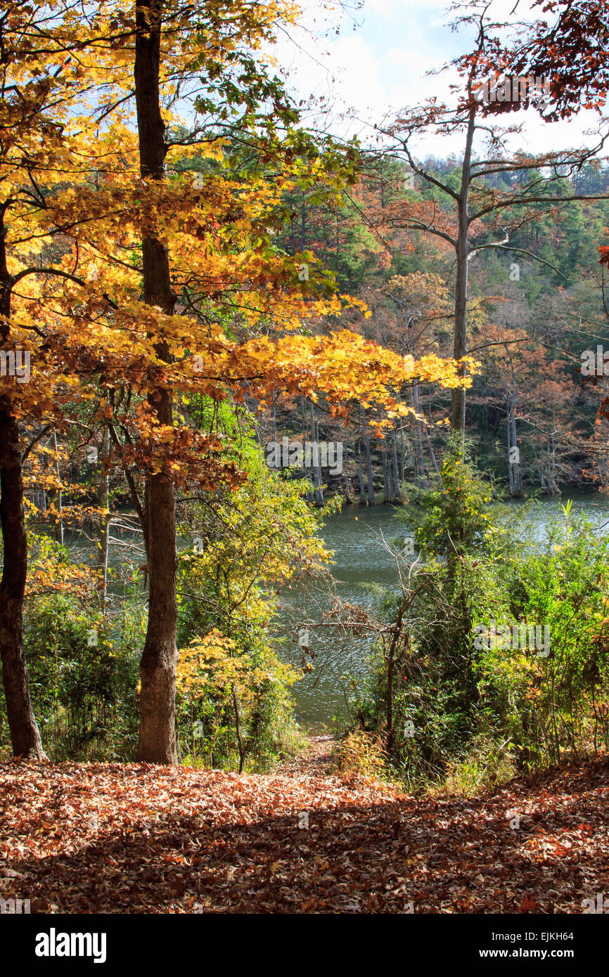 Mountain fork river colorful trees hi-res stock photography and images ...
