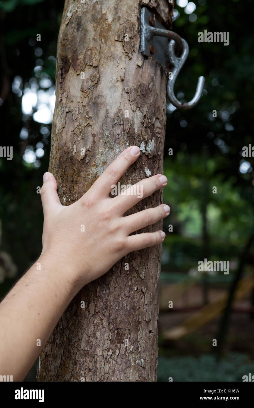 Male hand holds tree trunk showing all fingers and a hook Stock Photo ...