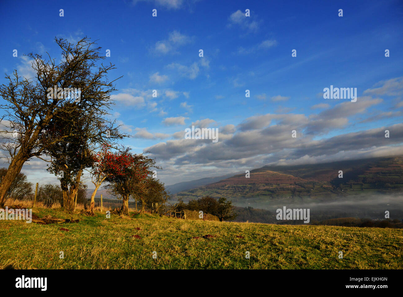 Welsh countryside wales hi-res stock photography and images - Alamy
