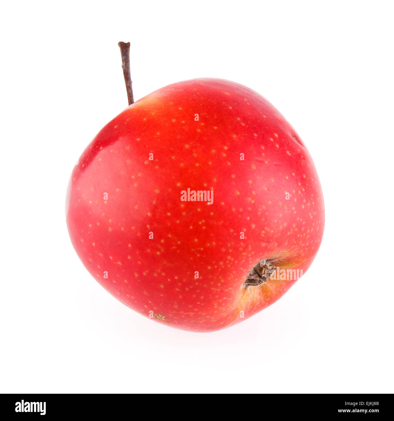 ripe red apple Stock Photo - Alamy