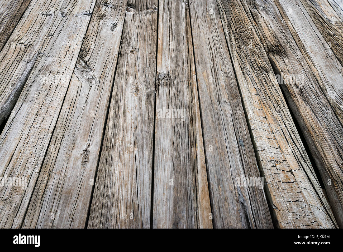 Beach Wood Texture