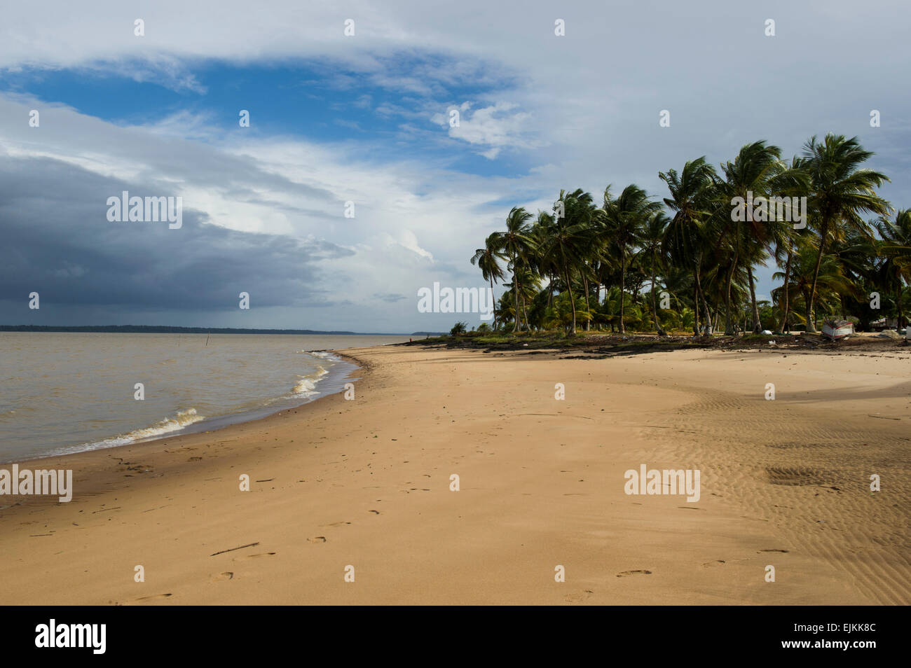 Palm-lined beach, Galibi, Suriname Stock Photo - Alamy