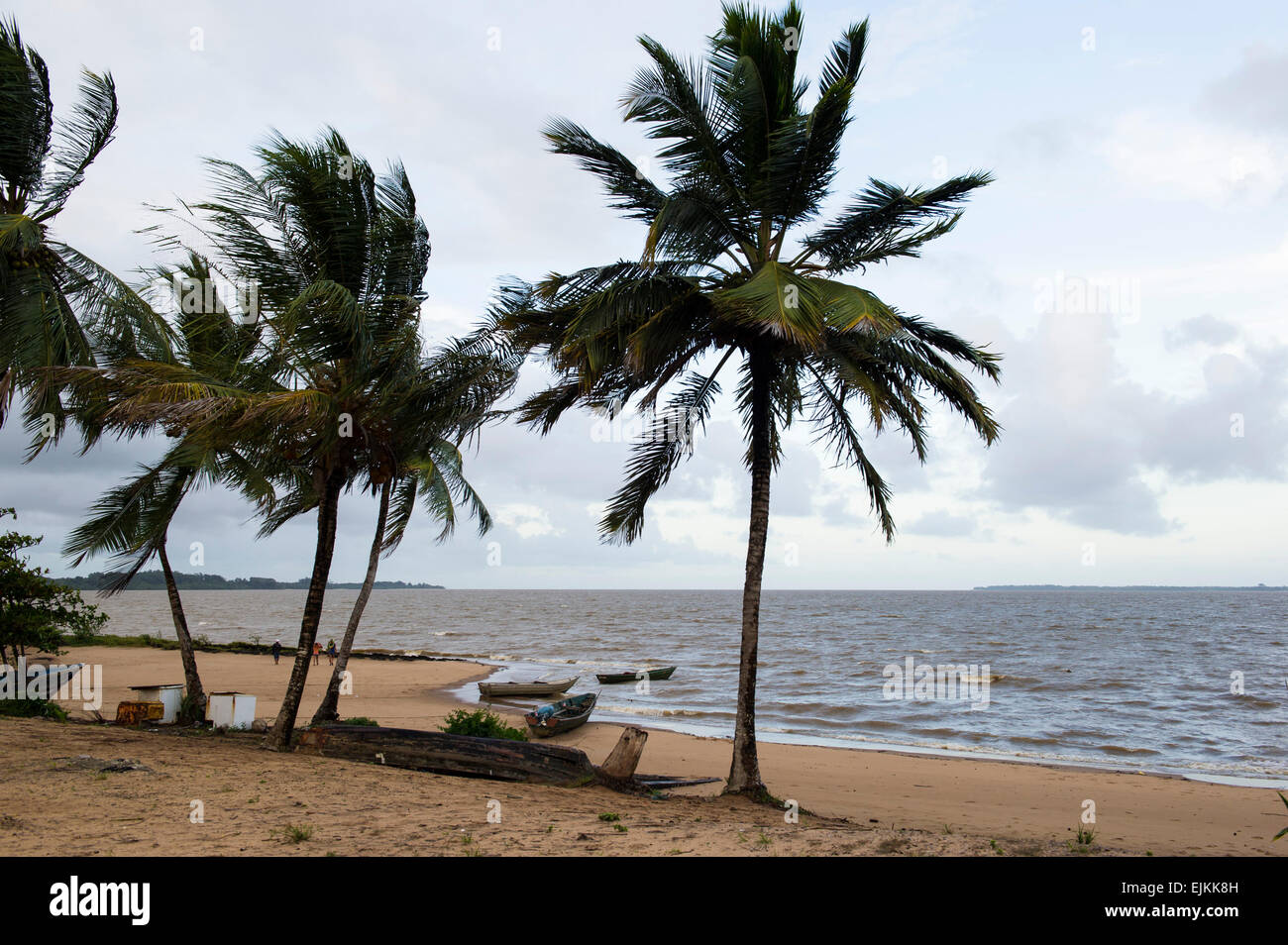 Beach galibi suriname hi-res stock photography and images - Alamy