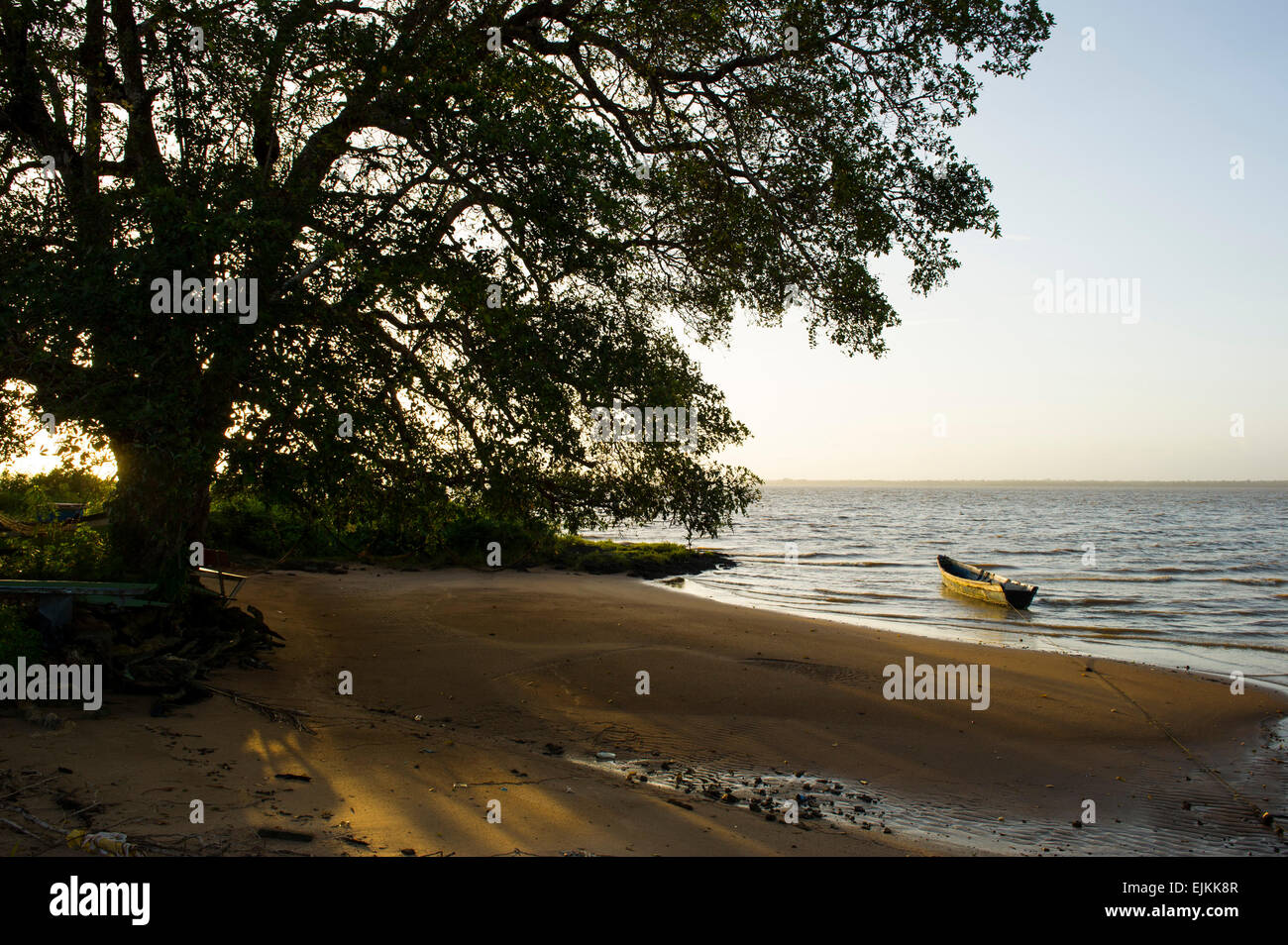 Beach, Galibi, Suriname Stock Photo - Alamy