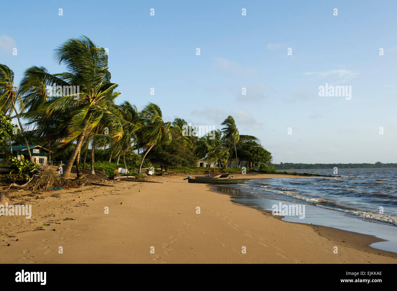 Beach galibi suriname hi-res stock photography and images - Alamy