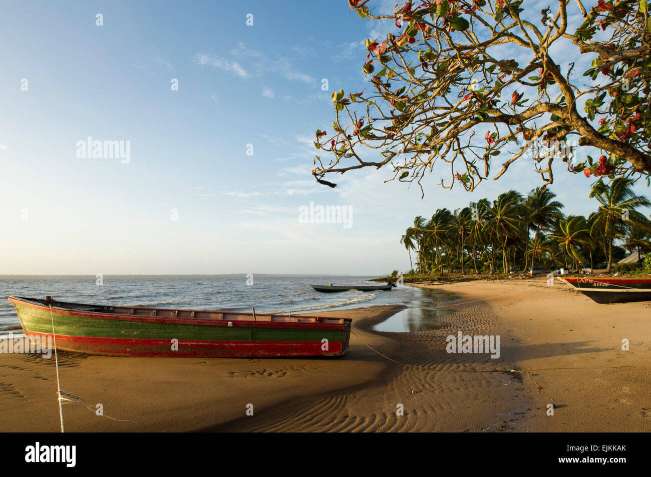 Beach galibi suriname hi-res stock photography and images - Alamy