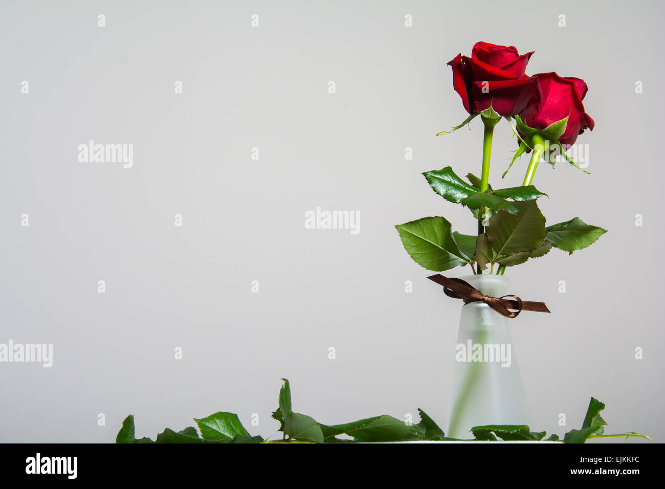 Red roses on empty background Stock Photo - Alamy