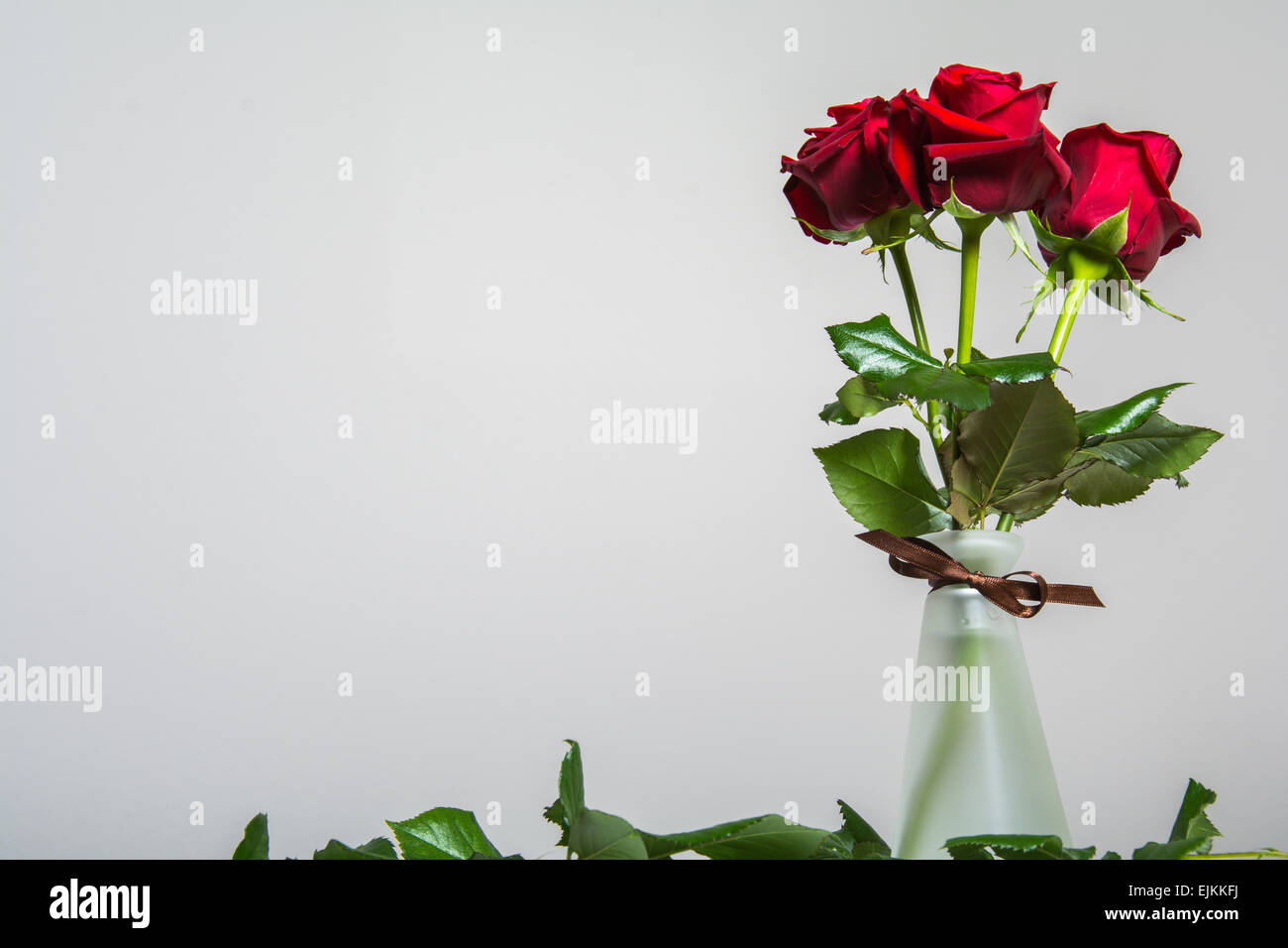 Red roses on empty background Stock Photo - Alamy
