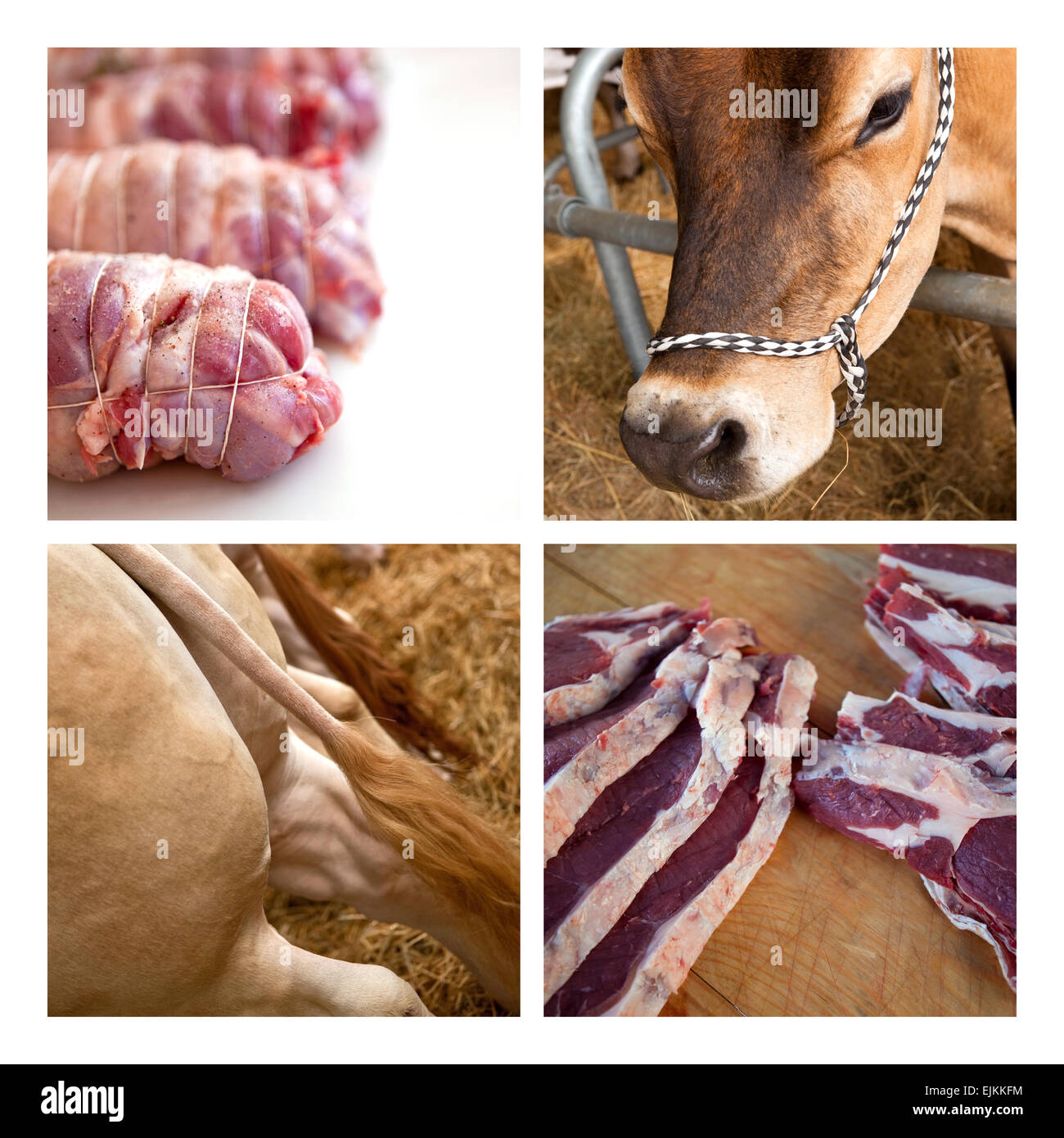 Veal on a bone hi-res stock photography and images - Alamy