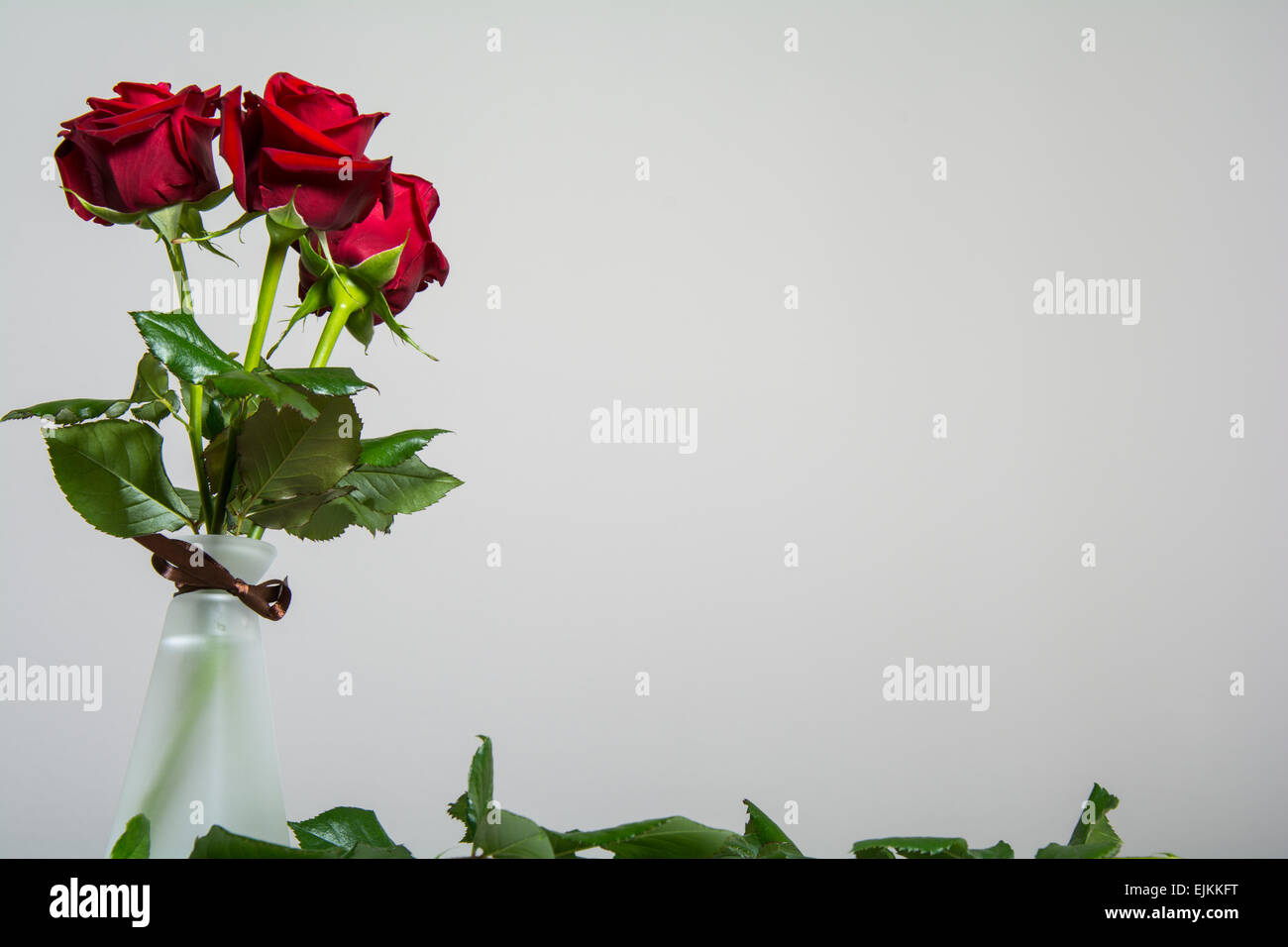 Red roses on empty background Stock Photo - Alamy