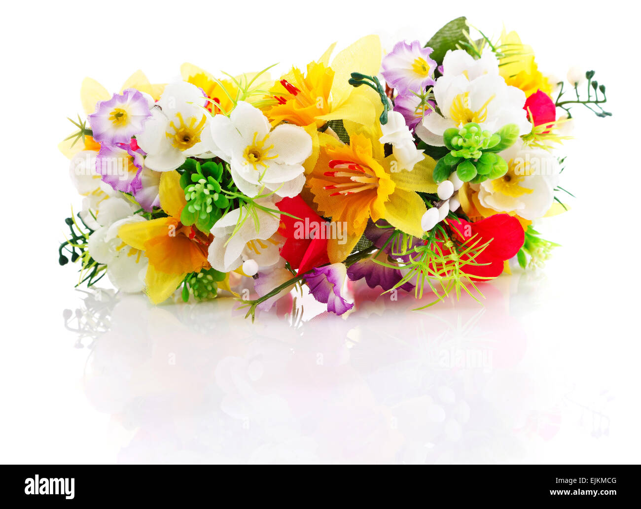 Beautiful gerber flowers on hi-res stock photography and images - Alamy