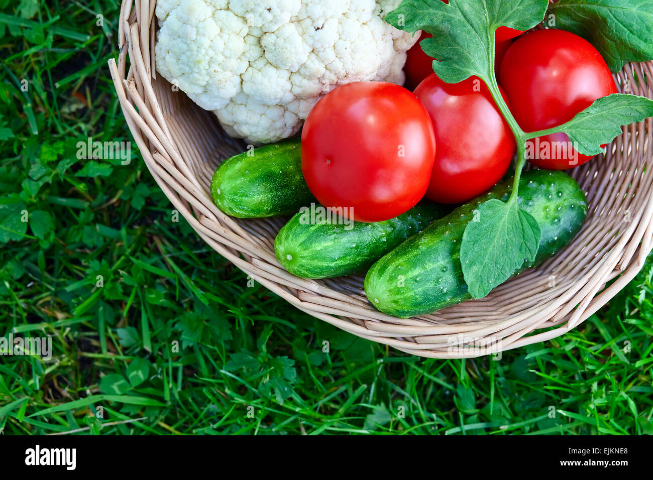 vegetables in basket on a green grass Stock Photo - Alamy