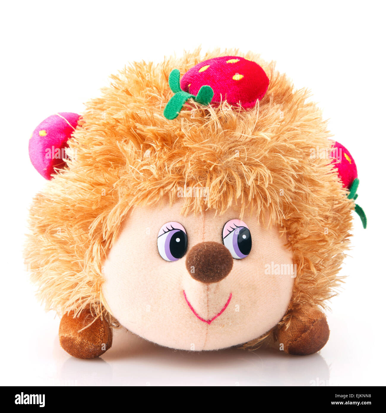 Cute hedgehog face hi-res stock photography and images - Alamy