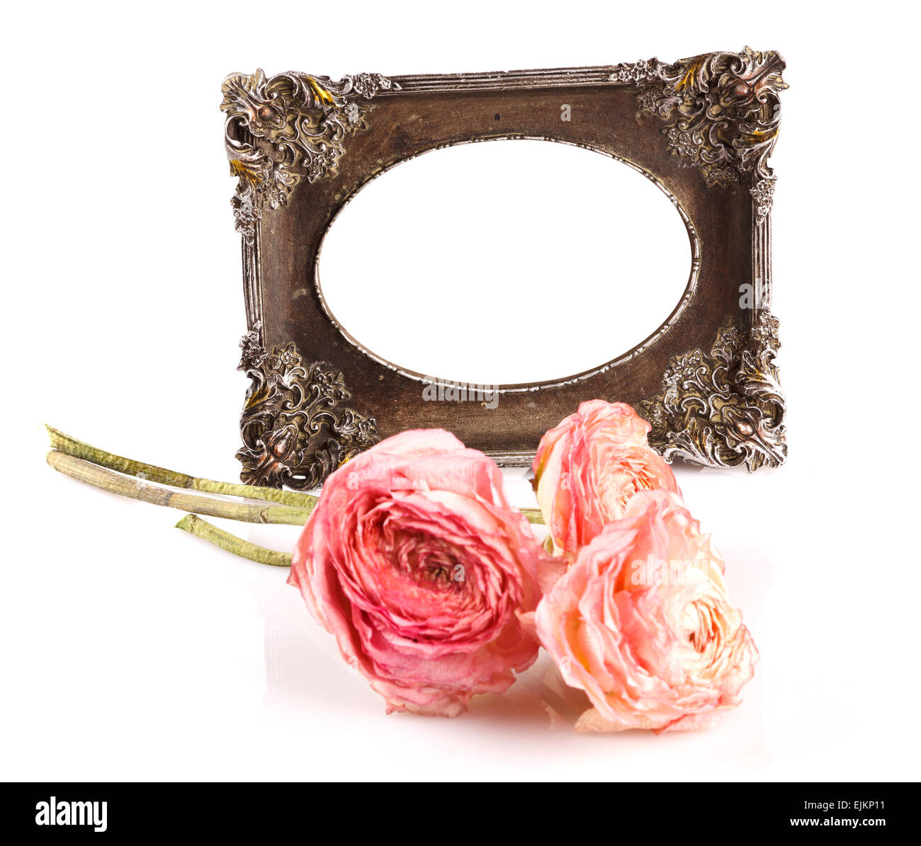 Dried rose illustration vintage hi-res stock photography and images - Alamy
