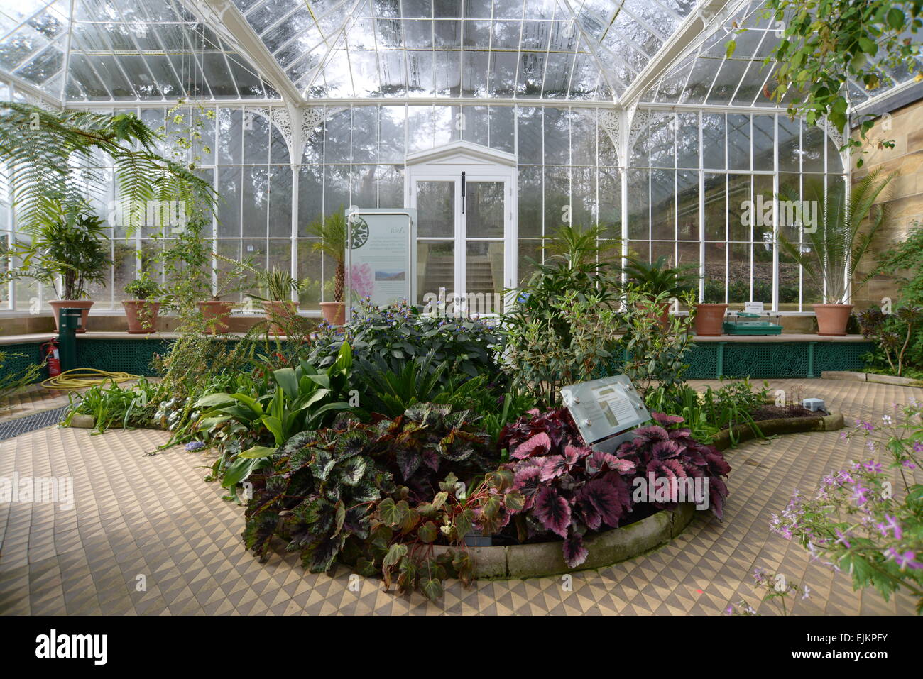 Interior of Wentworth Castle Gardens Conservatory, Stainborough ...