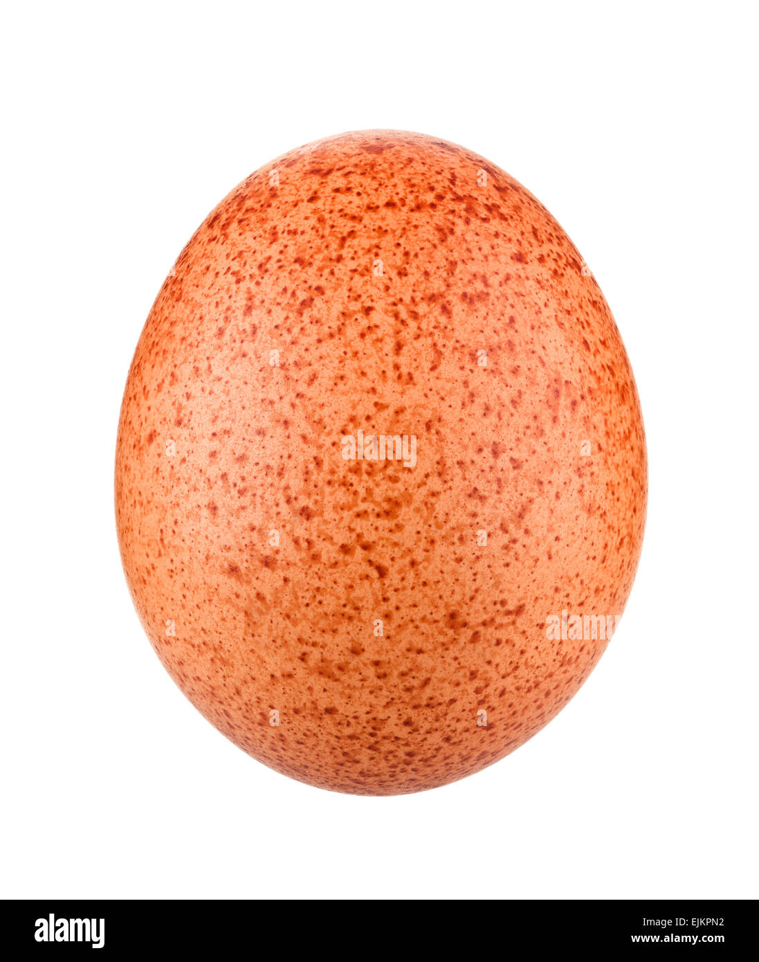 Brown egg egg shell hi-res stock photography and images - Alamy
