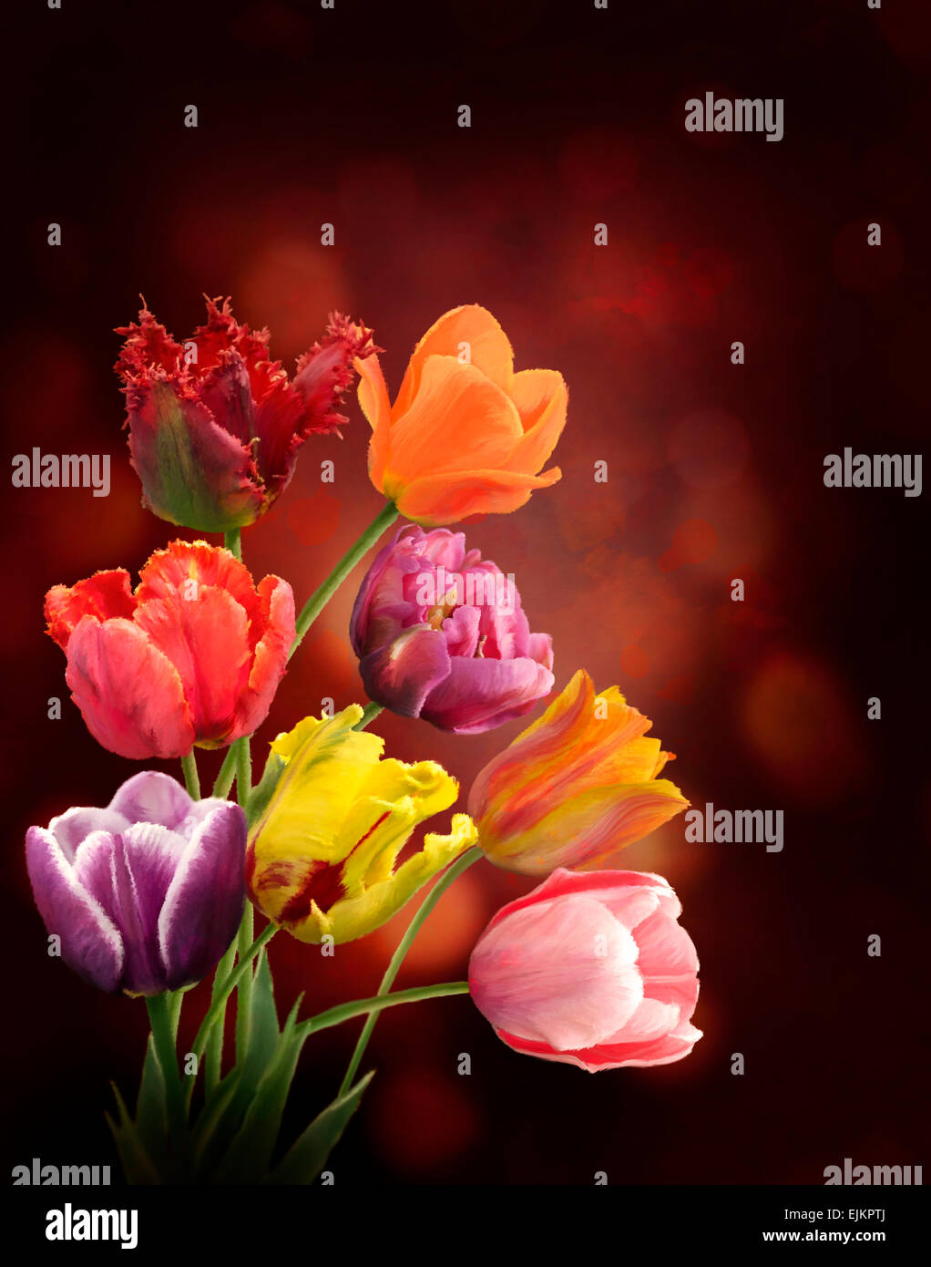 Digital Painting Of Tulip Flowers Stock Photo - Alamy