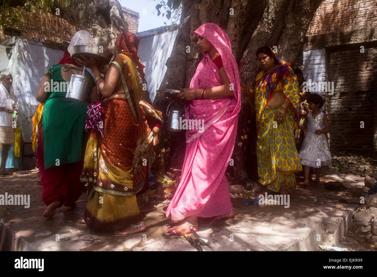 Women rotate Ashvattha tree and worship it on Last day of Hindu ...