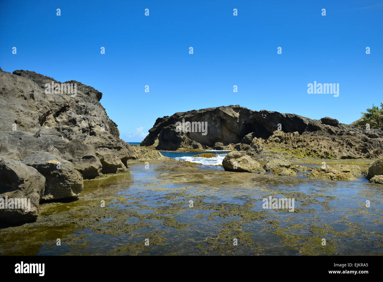 Natural pool and rock formations at Punta Palmas Altas. Barceloneta ...