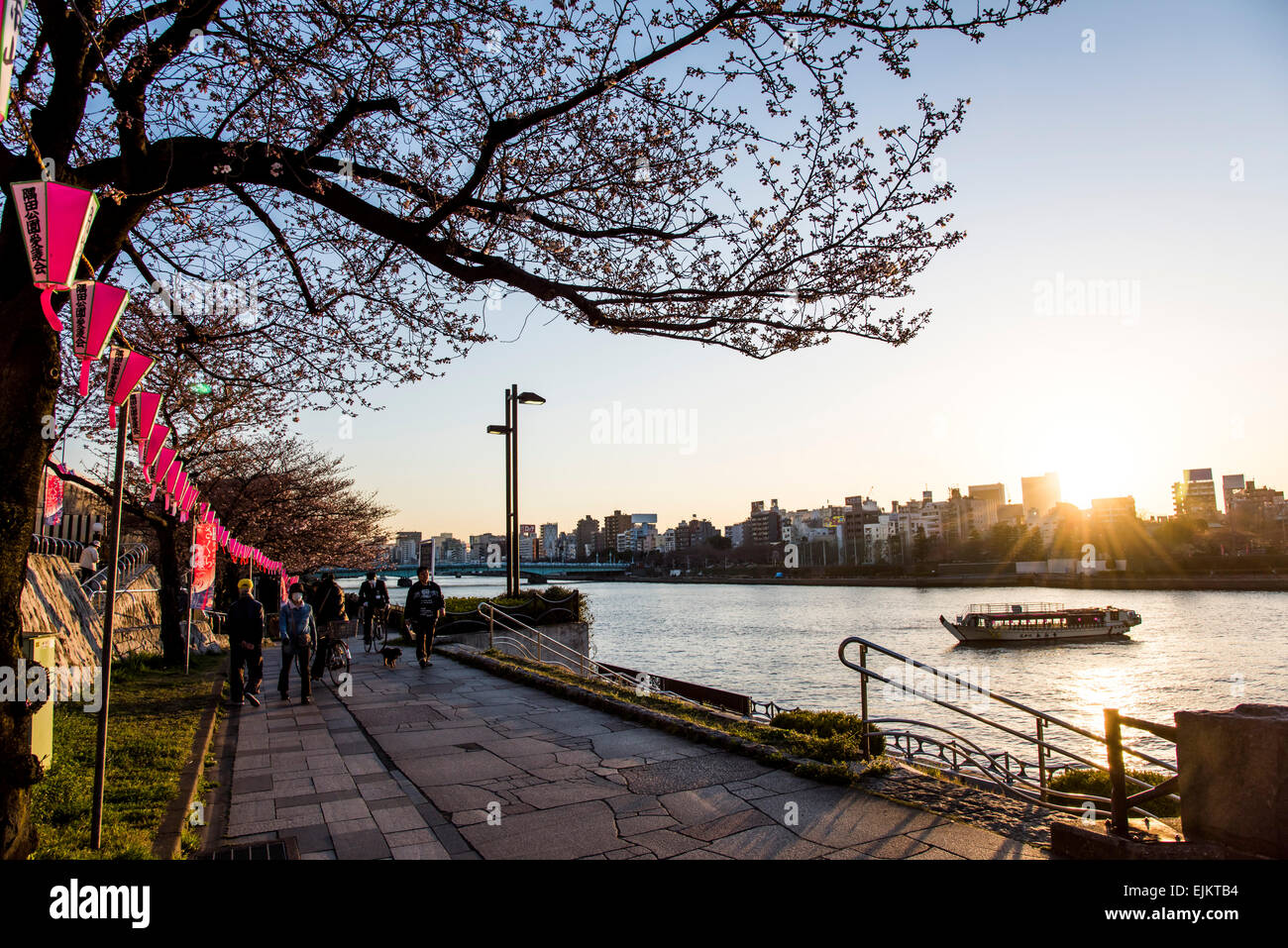 Sumida park,Sunset,Sumida river ,Tokyo,Japan Stock Photo - Alamy