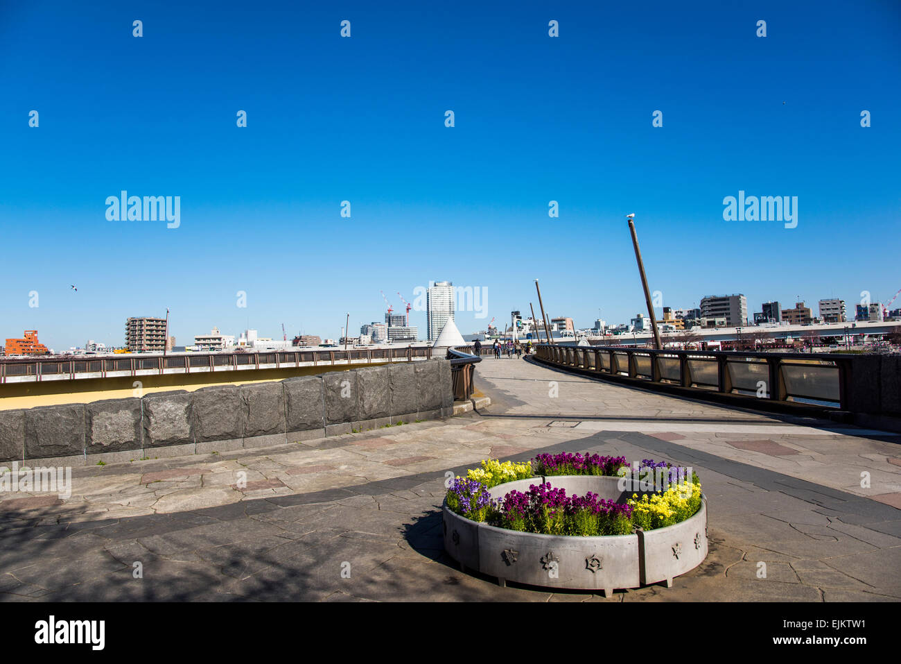 Sakura bashi bridge hi-res stock photography and images - Alamy