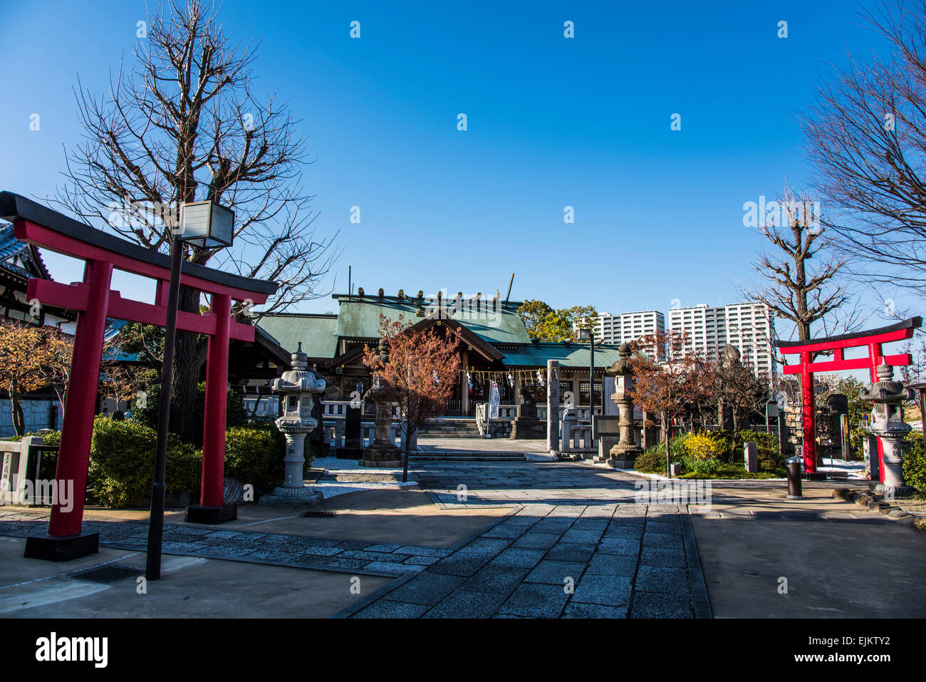 Ishihama Jinja, Arakawa-Ku,Tokyo,Japan Stock Photo - Alamy