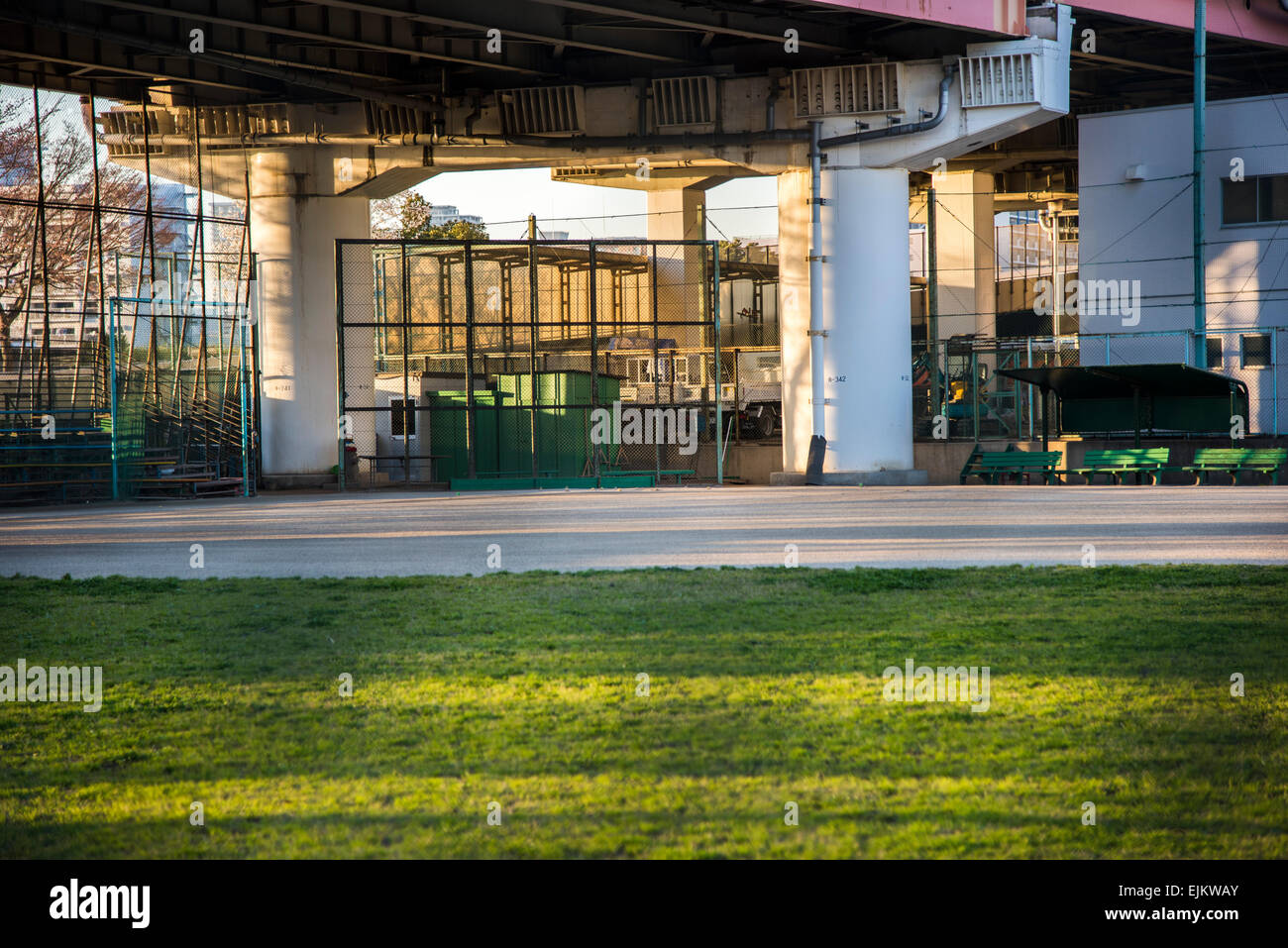 Sumida park boys baseball field,Sumida-Ku,Tokyo,Japan Stock Photo - Alamy