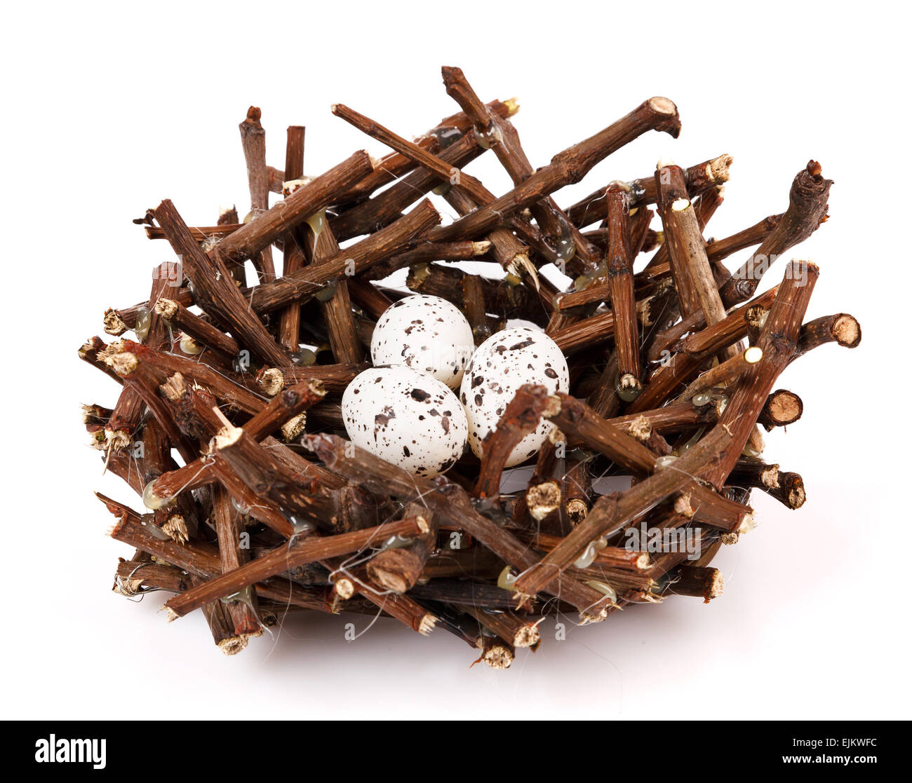 Nest With Eggs Stock Photo - Alamy