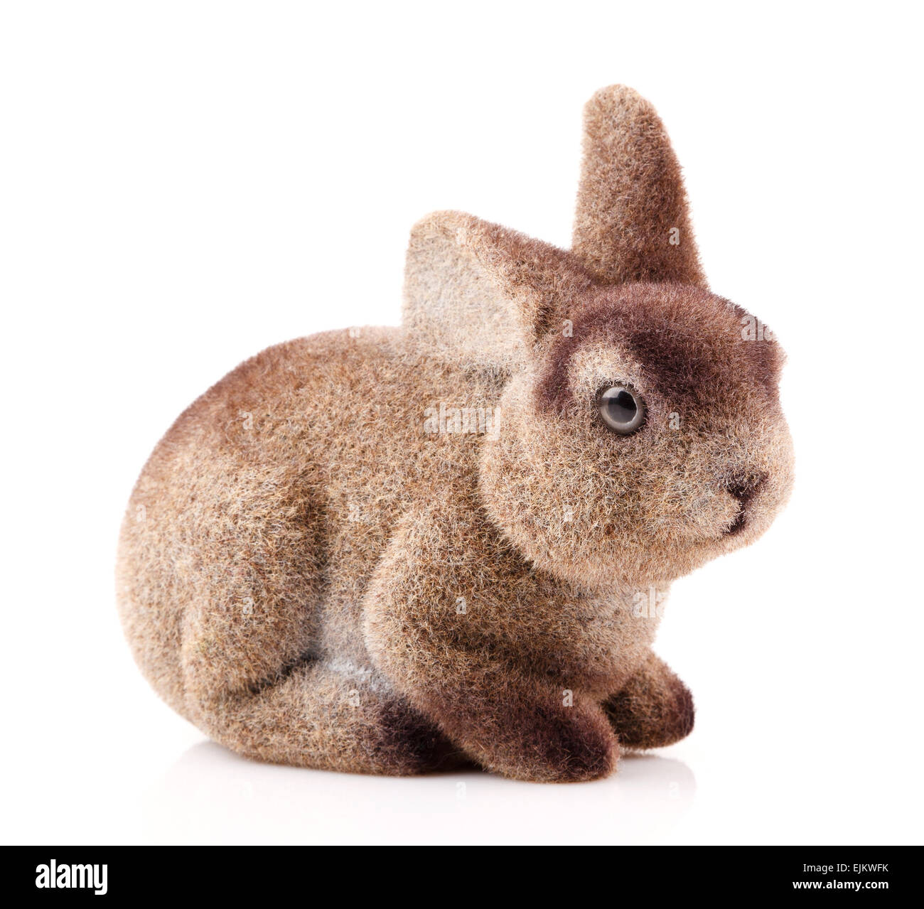 Bunny sitting up hi-res stock photography and images - Alamy