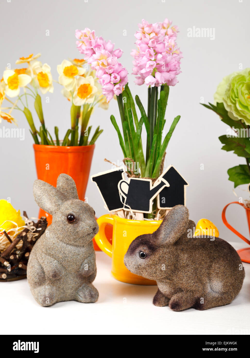 Bunny family hi-res stock photography and images - Alamy