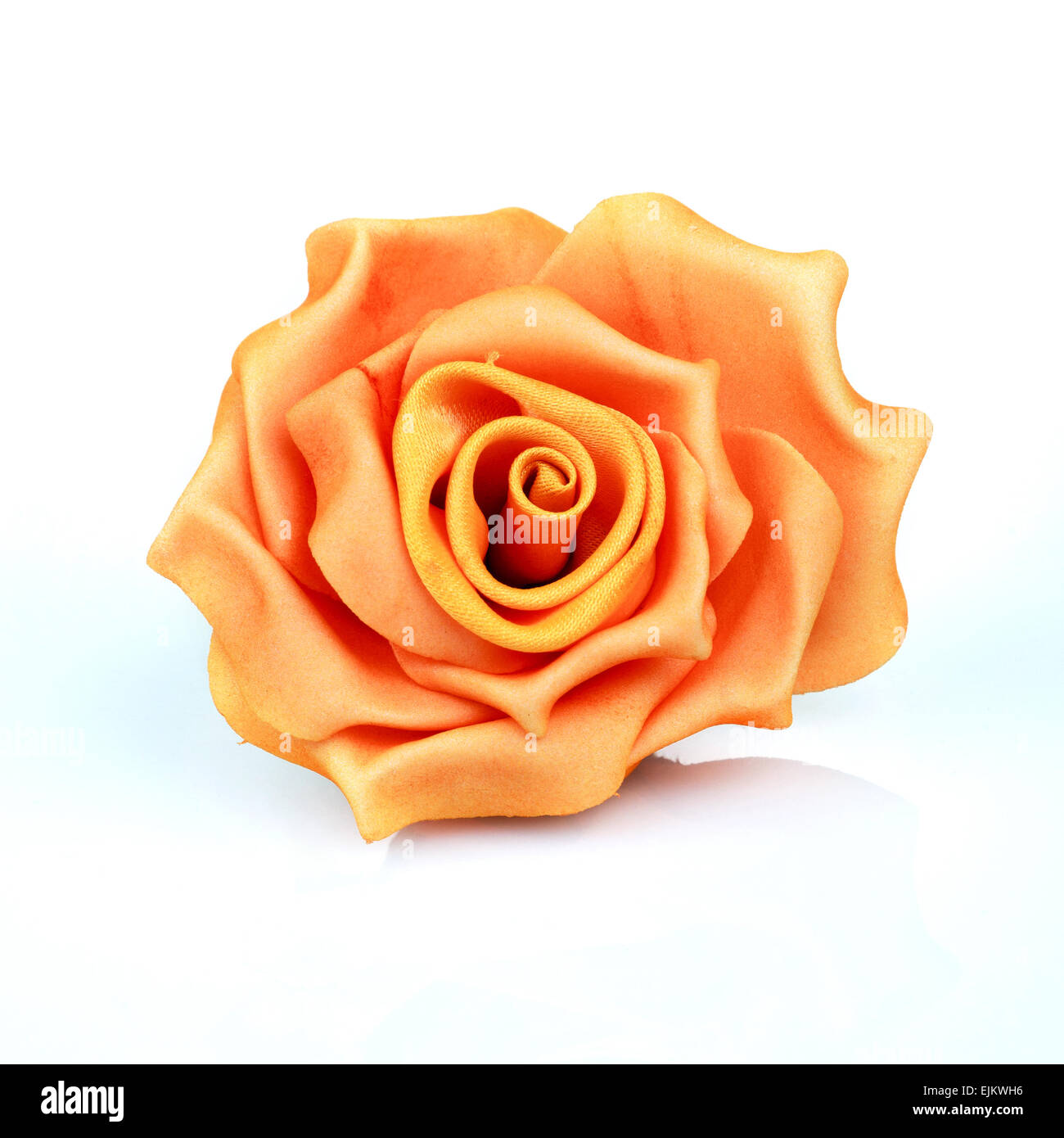 White rose nature hi-res stock photography and images - Alamy