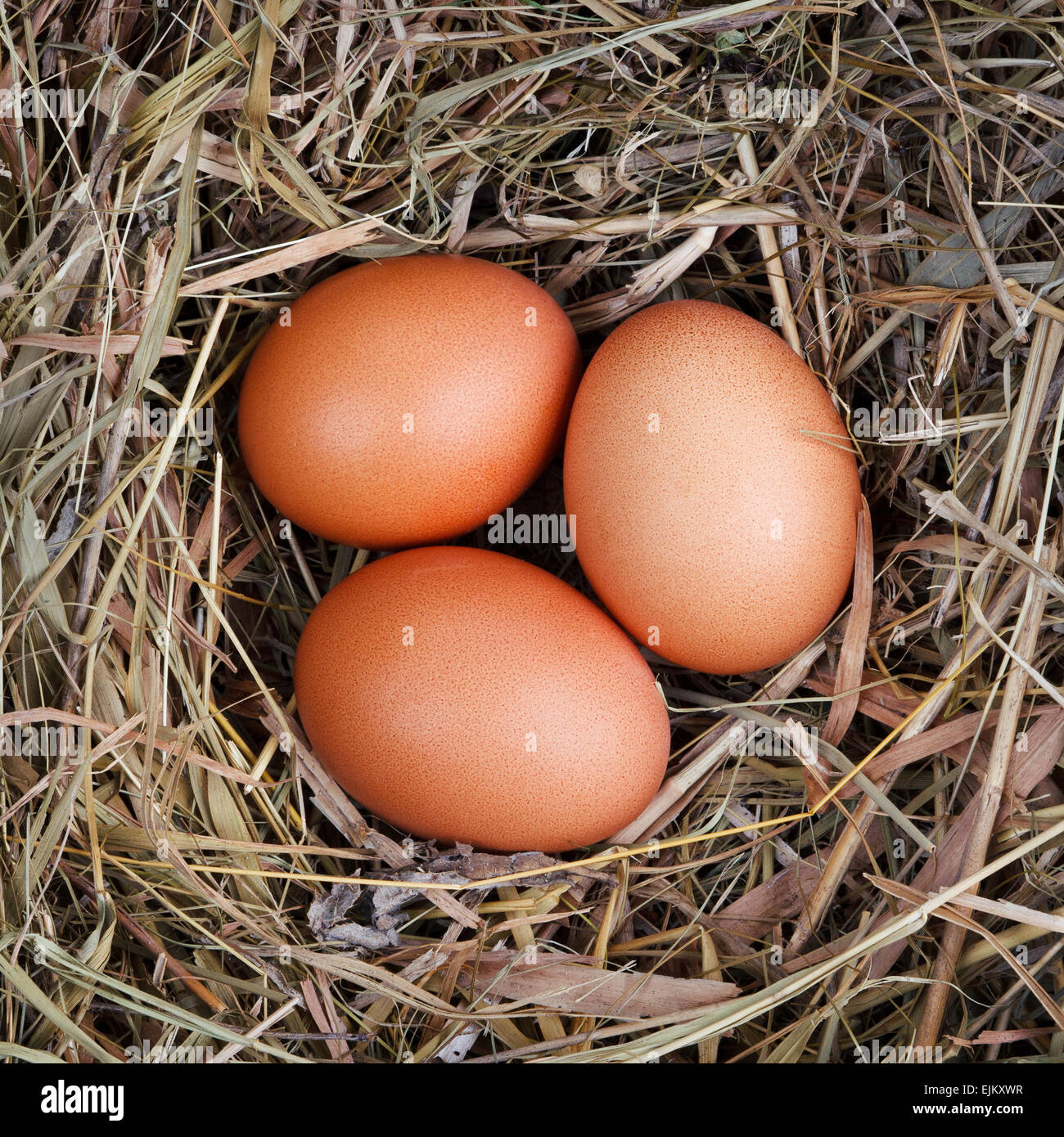 Children and eggs hi-res stock photography and images - Alamy
