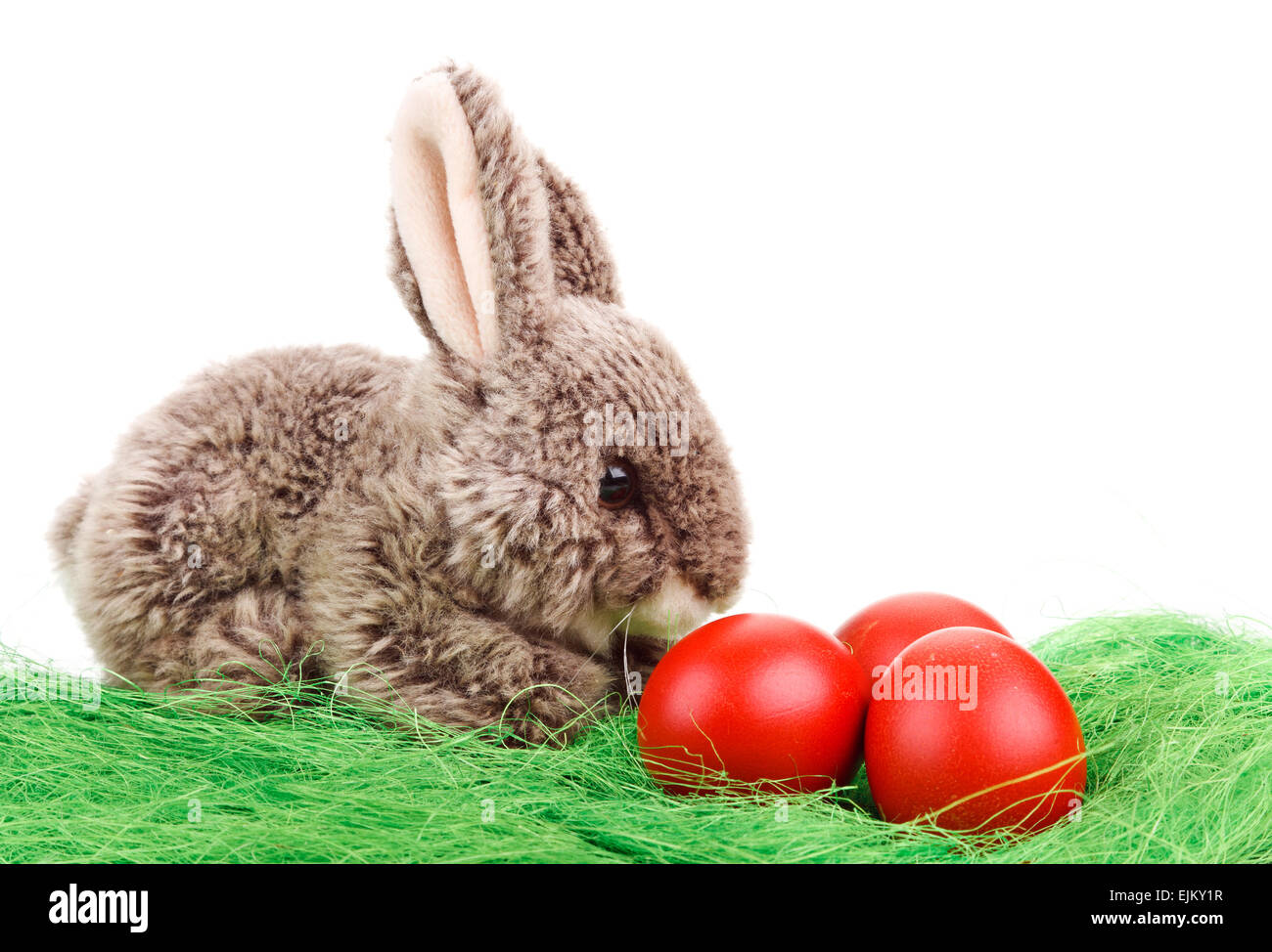 Baby bunny nest hi-res stock photography and images - Alamy