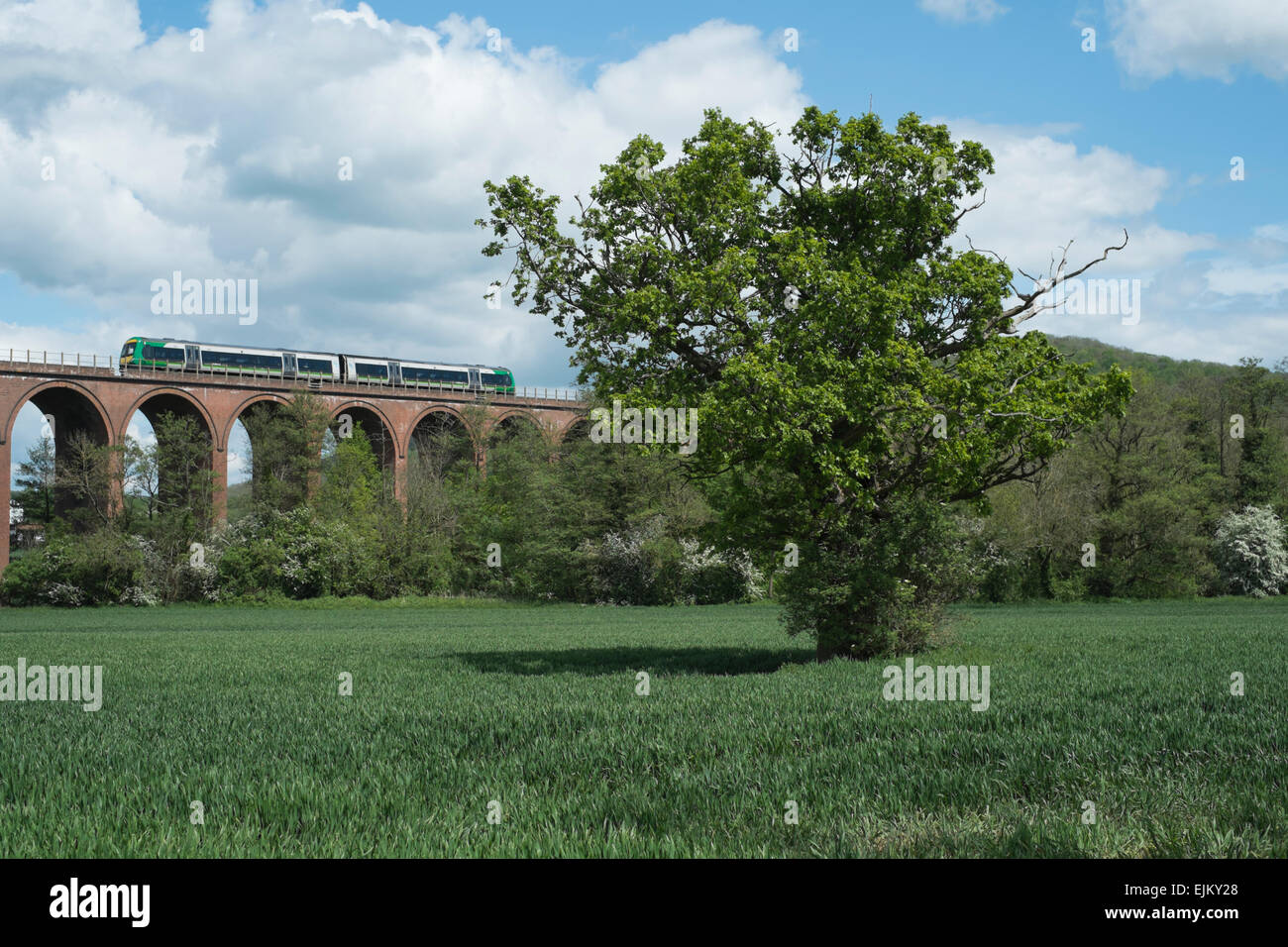 The railway viaduct at Ledbury Stock Photo - Alamy