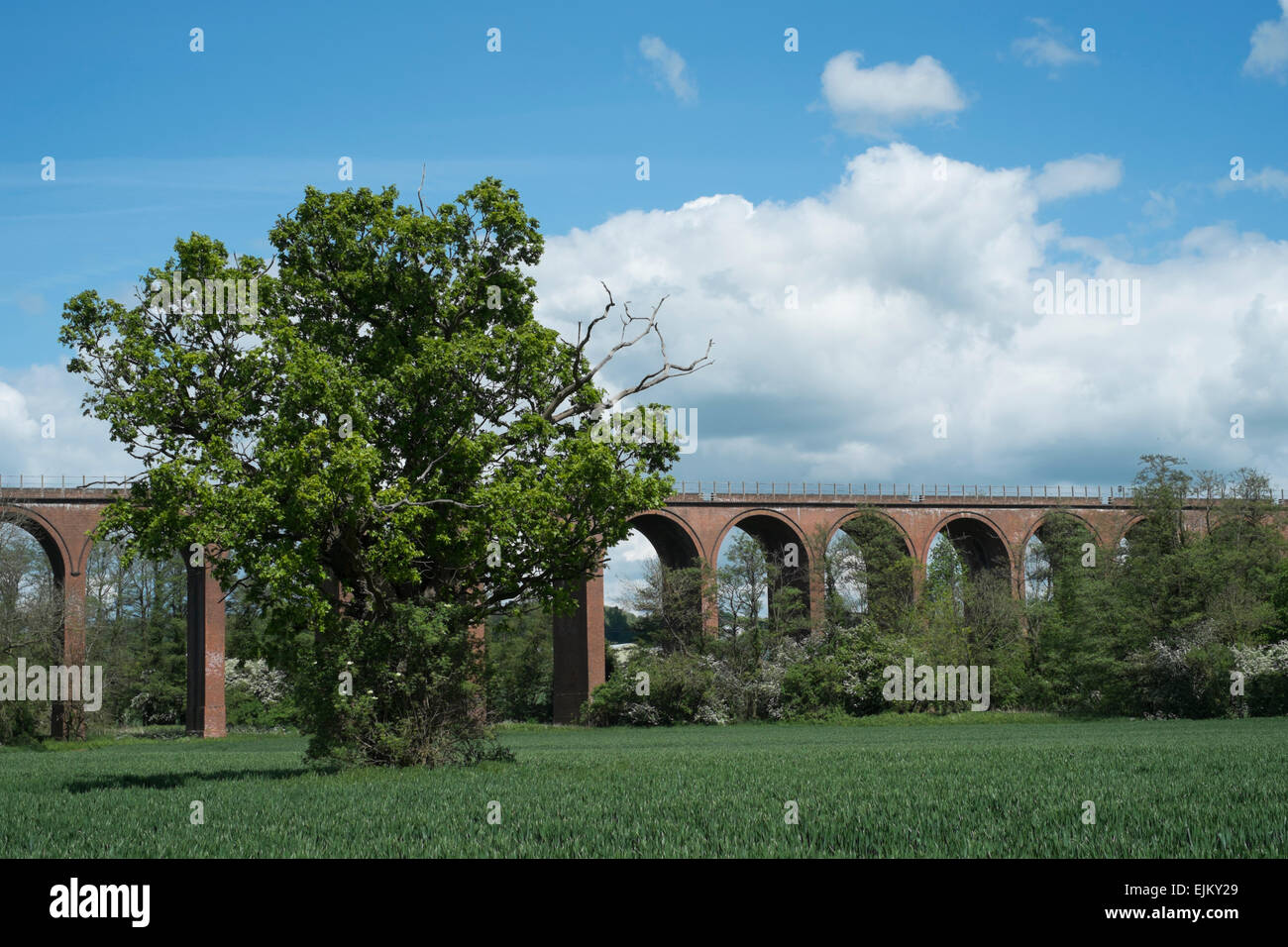 The railway viaduct at Ledbury Stock Photo - Alamy