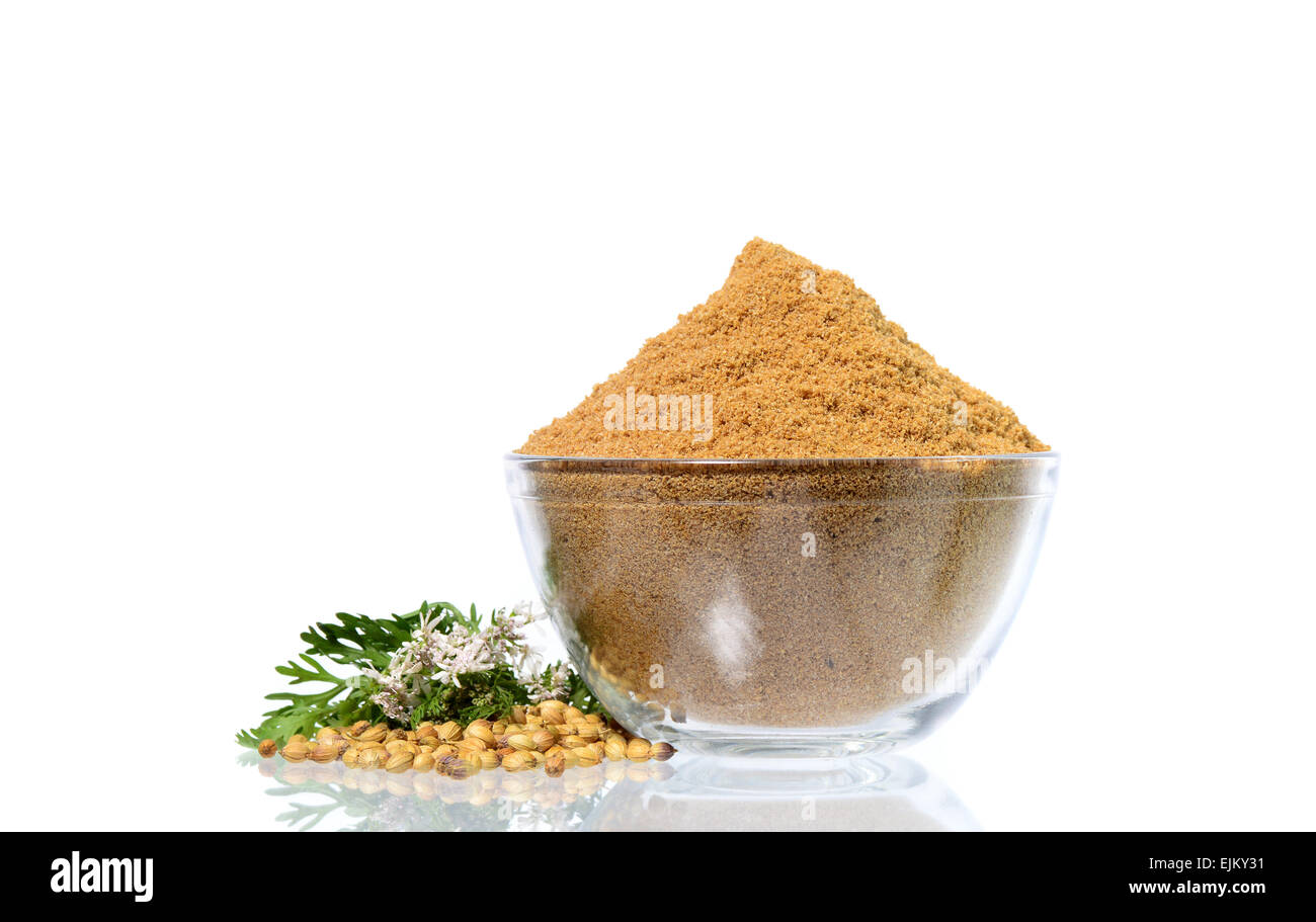 Coriander seeds, Fresh Coriander and Powdered coriander isolated on ...