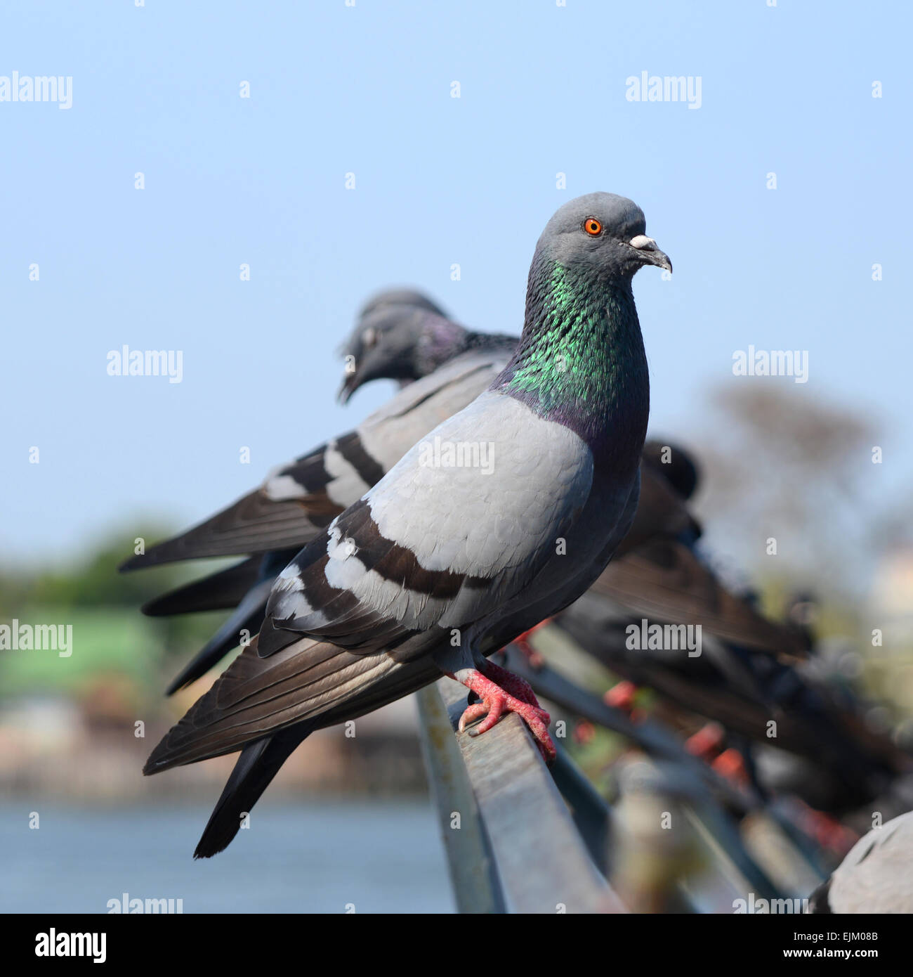 Stand group hi-res stock photography and images - Alamy