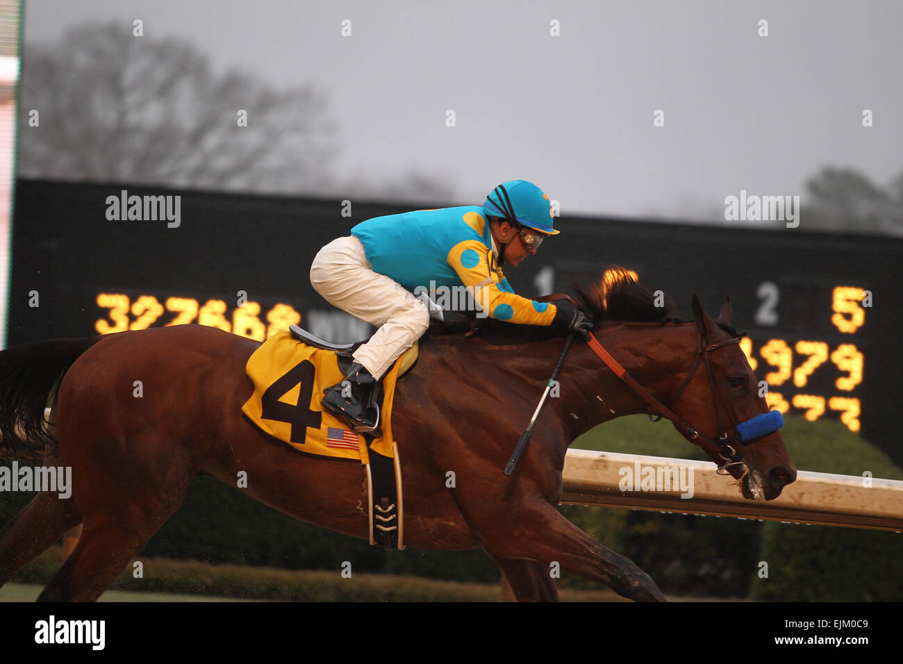 Hot Springs, AR, USA. 14th Mar, 2015. March 14, 2015: American Pharoah ...