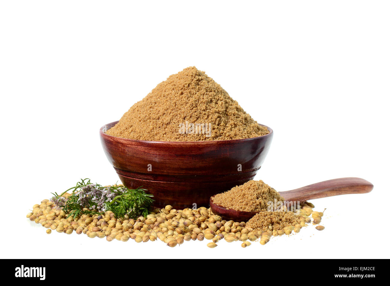 Coriander seeds, Fresh Coriander and Powdered coriander isolated on ...