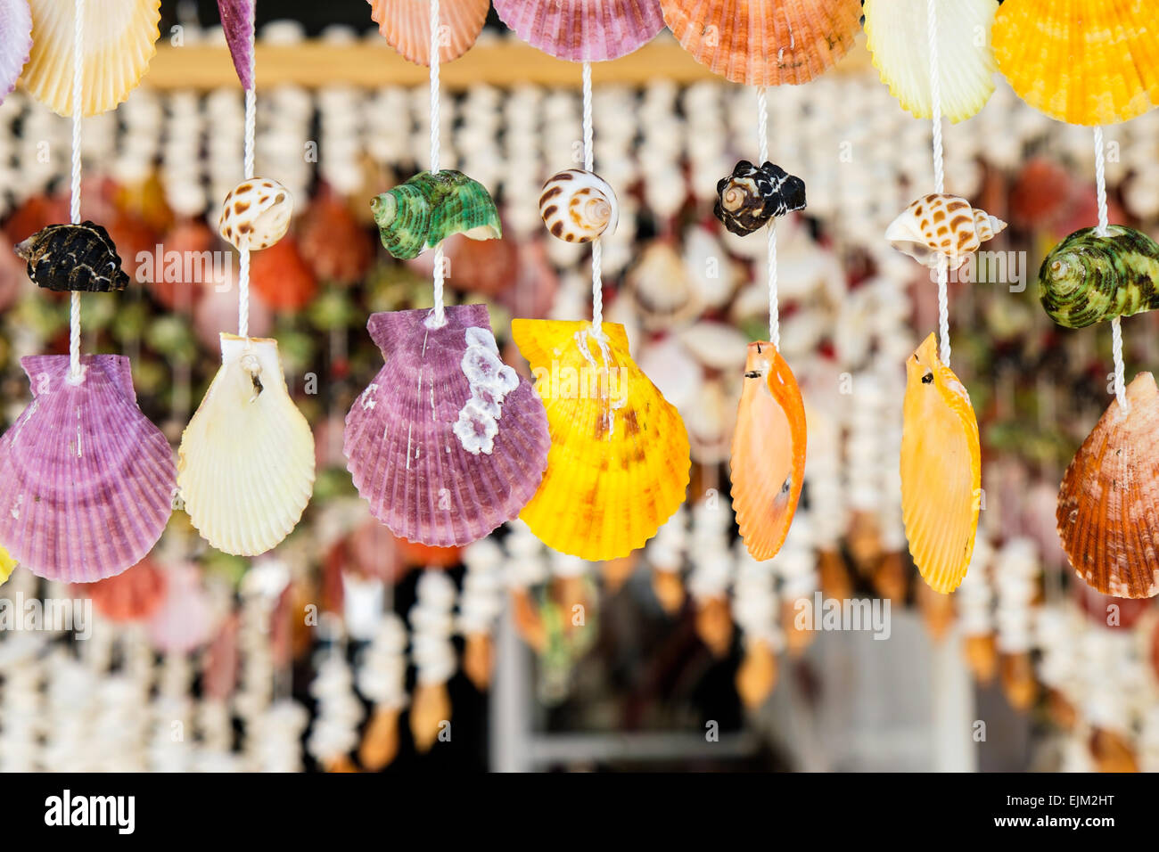 Spiral seashell hi-res stock photography and images - Alamy