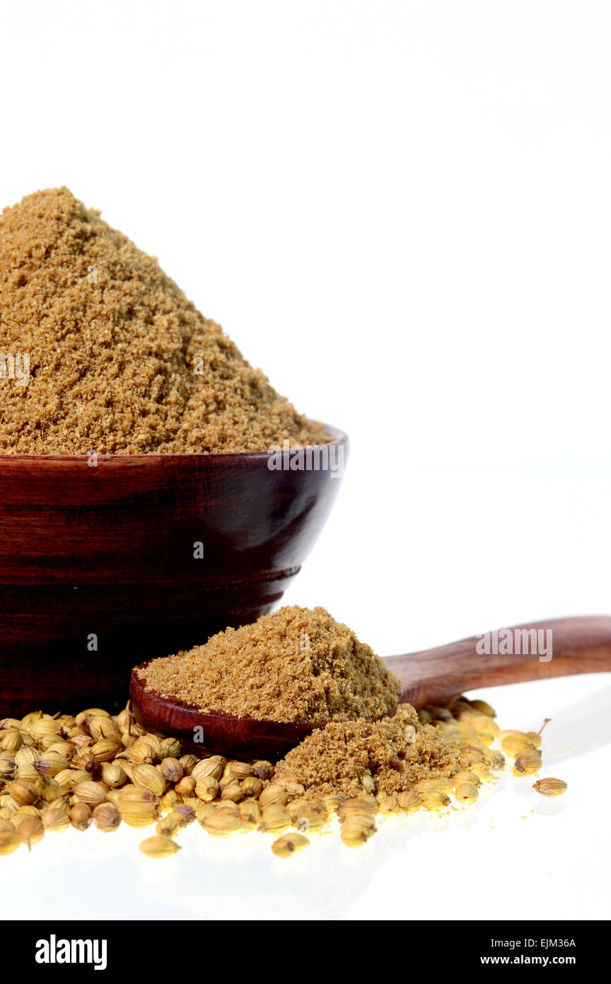 Coriander seeds, Fresh Coriander and Powdered coriander isolated on ...