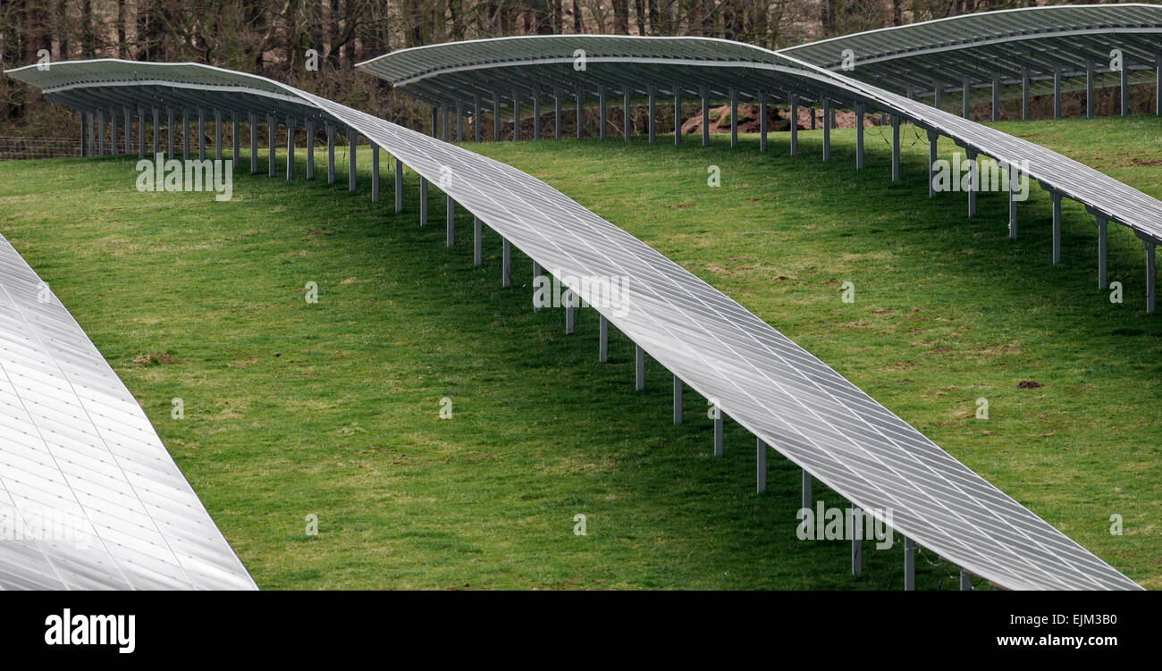 Welbeck estate nottinghamshire hi-res stock photography and images - Alamy