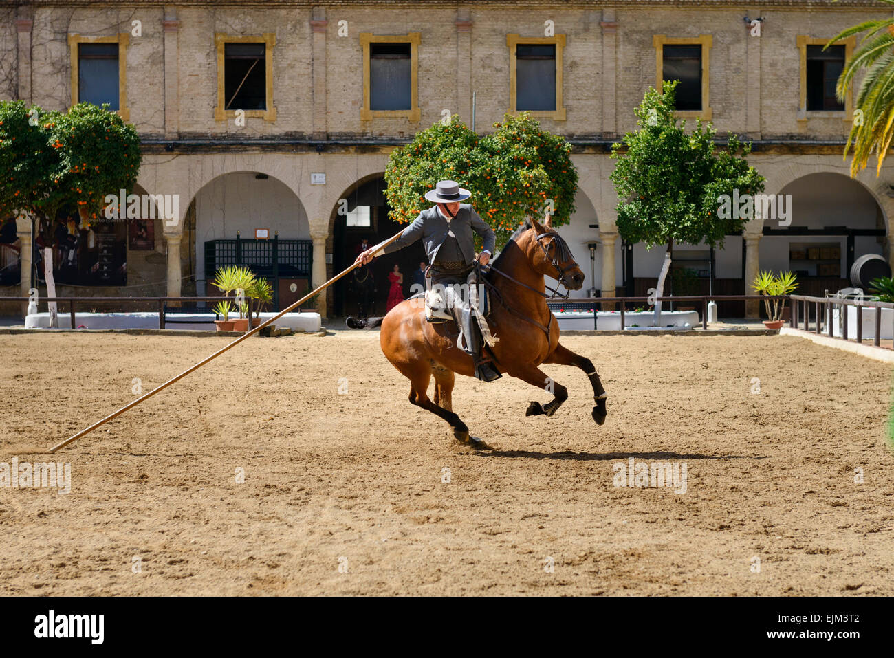 Equestrian hi-res stock photography and images - Alamy