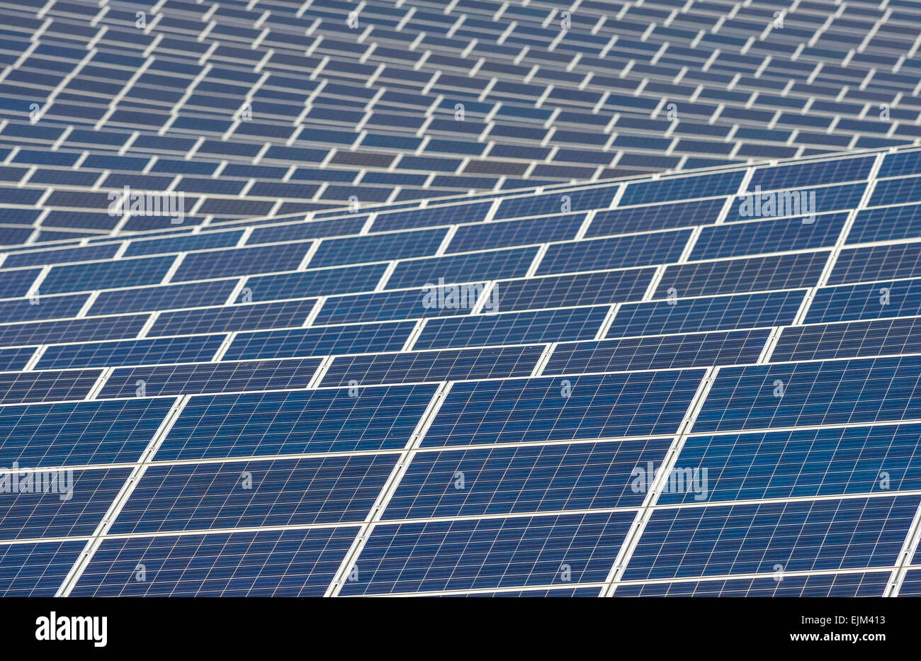 A field of P.V. solar panels at a solar farm on the Welbeck Estate ...