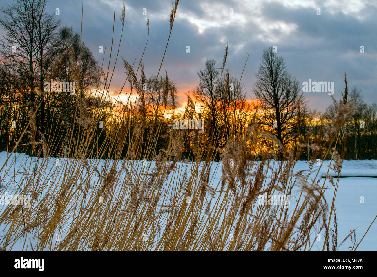 Uncina hi-res stock photography and images - Alamy