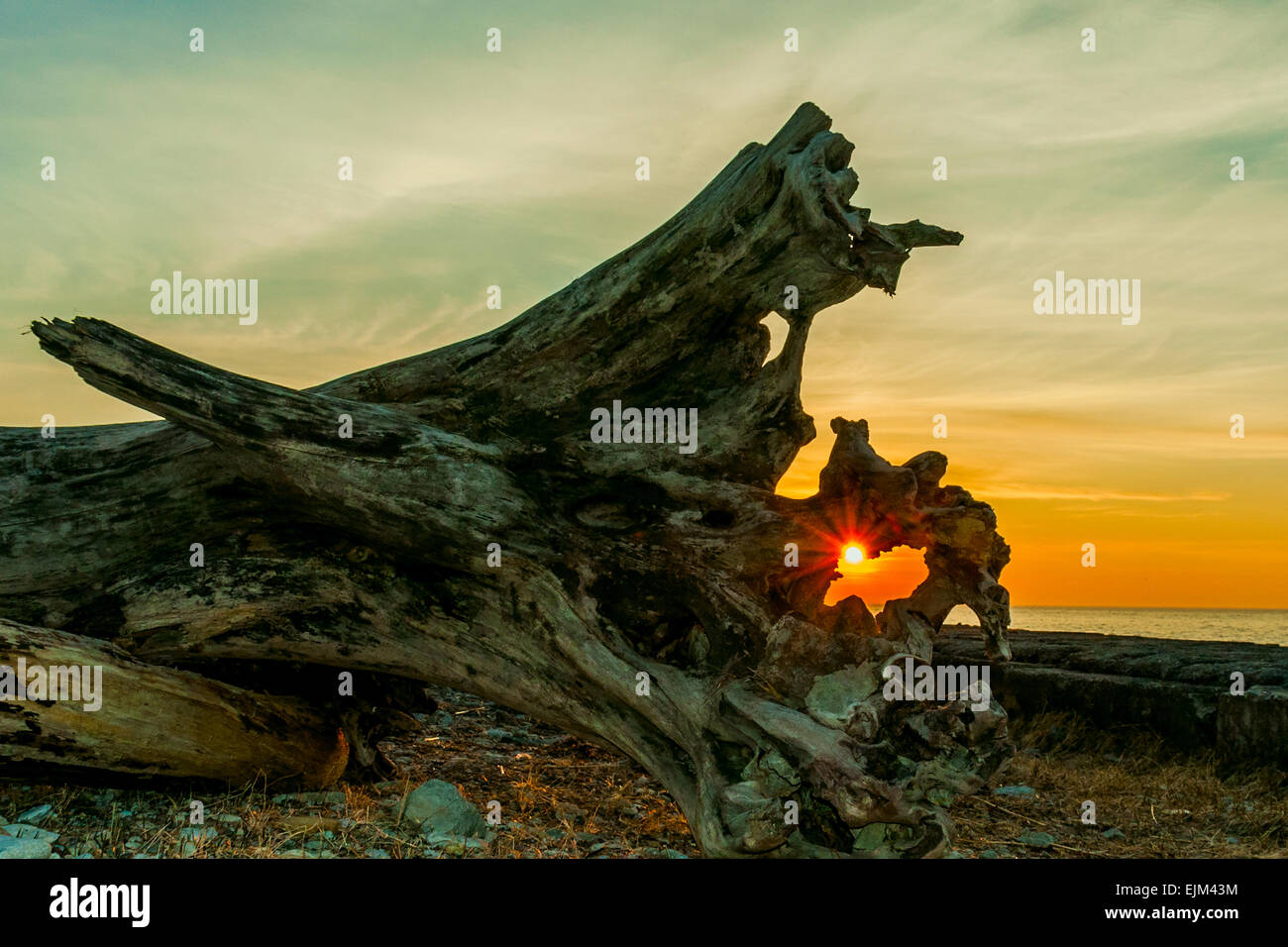 The sun in a trap Stock Photo - Alamy