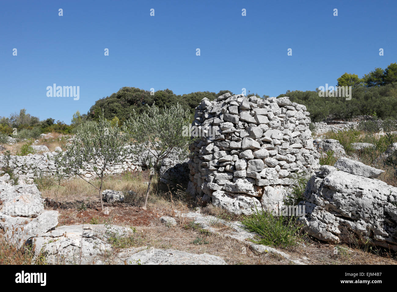 Limestone Farm hut in central Korcula Croatia Traditional dry stone ...