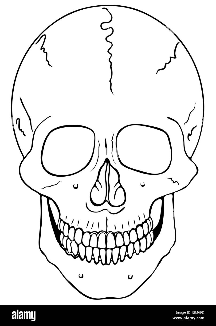 smiling skulls - vector - warning symbol Stock Vector Image & Art - Alamy