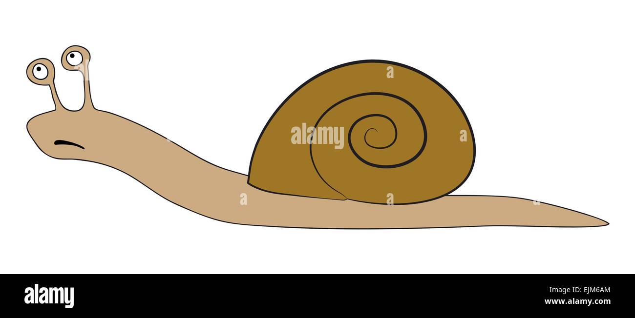 Vector illustration of the snail - slowly animal Stock Vector Image ...
