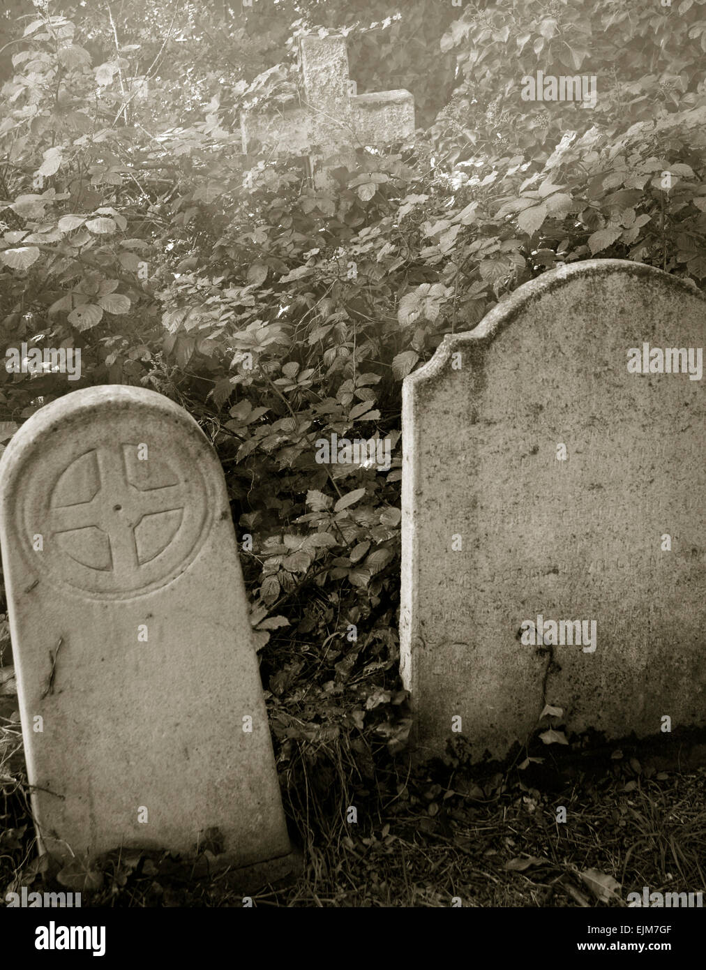 Graves in Kensal Green Cemetery London Stock Photo - Alamy